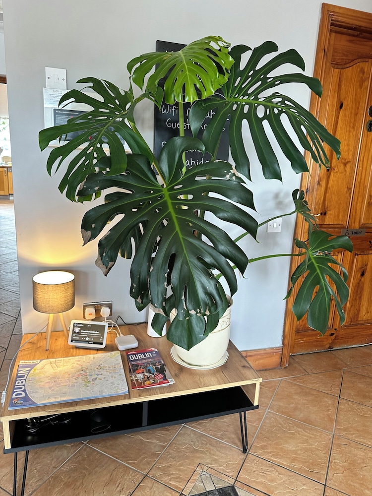 Malahide Guest Rooms - Portmarnock