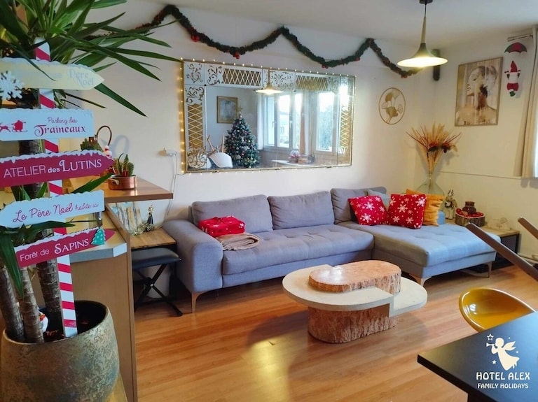 Grand Appartement Avec Sauna - Strasbourg