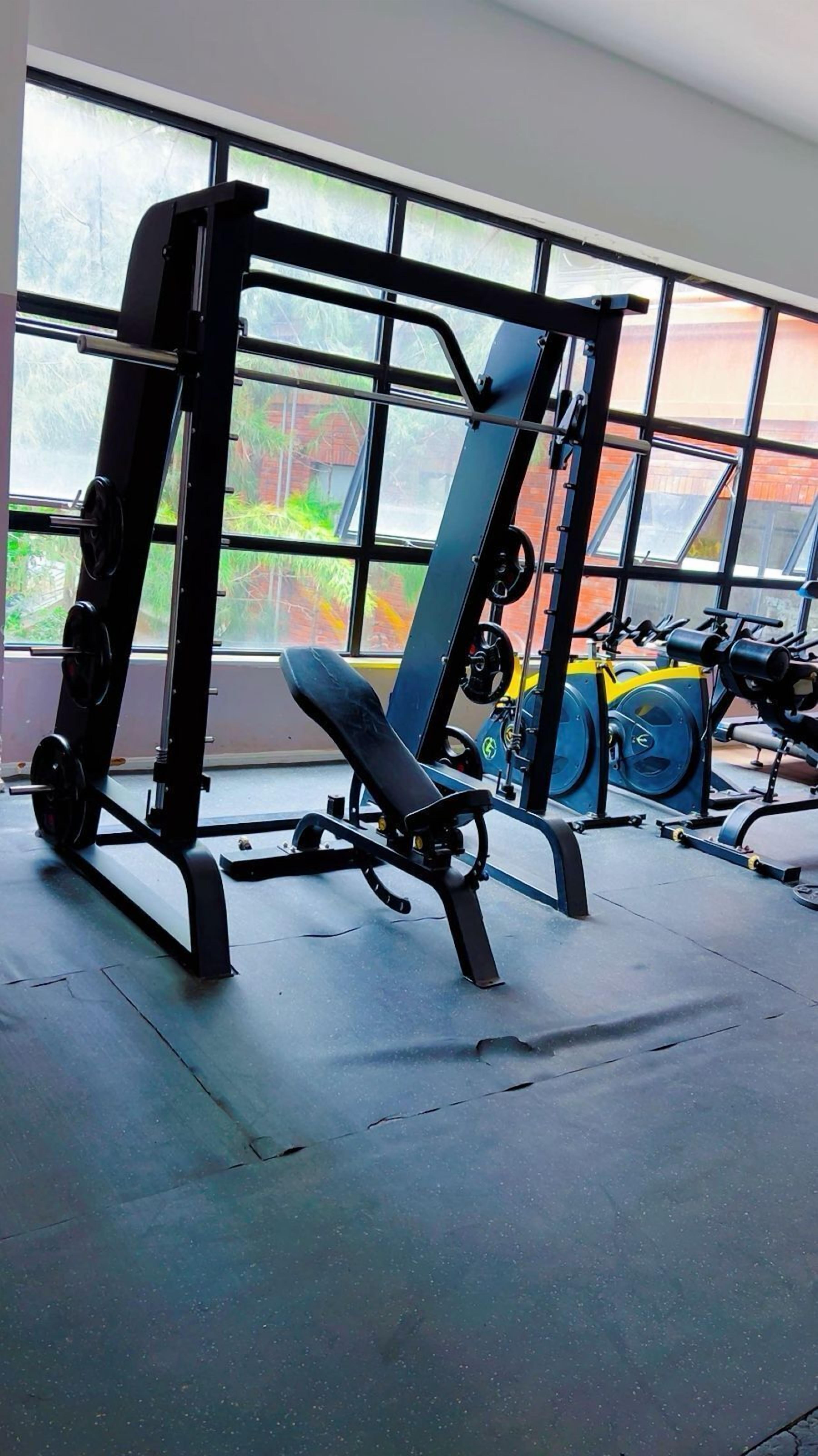 Uma academia com equipamentos de ginástica, grandes janelas e vista para o verde lá fora.