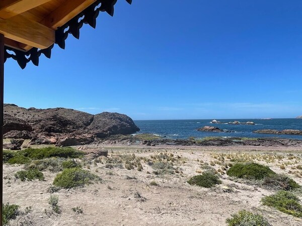 Leones Camps Island - Provincia de Chubut