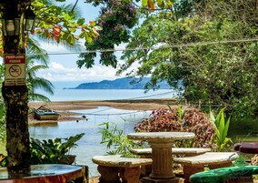 Smart TV de 32 polegadas com canais via satélite 