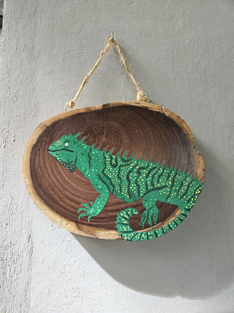 Jungla Bacalar - Bacalar