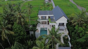 Uma casa moderna de dois andares com piscina, rodeada por vegetação exuberante e palmeiras.