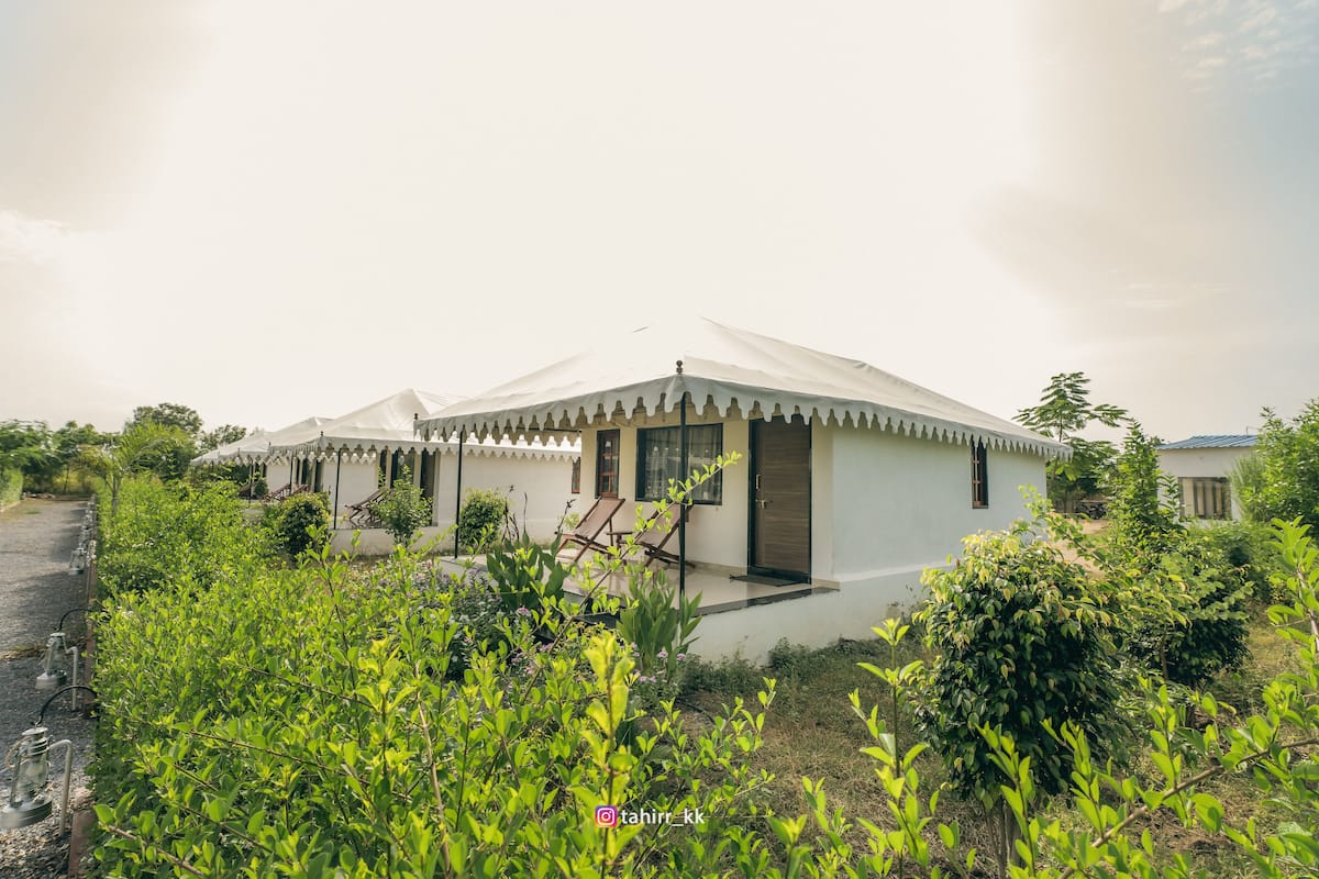 Tenda de Luxo | Vista do quarto