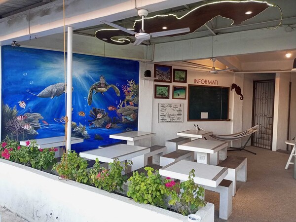 Sea Horse Guest House - Coron