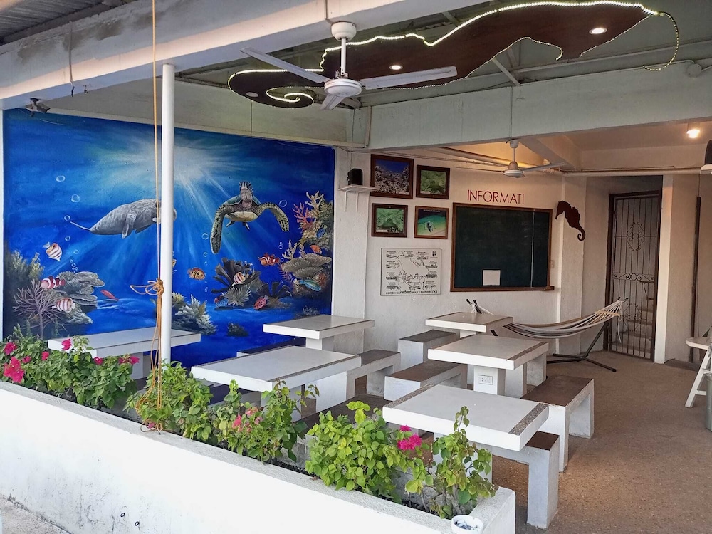 Sea Horse Guest House - Coron