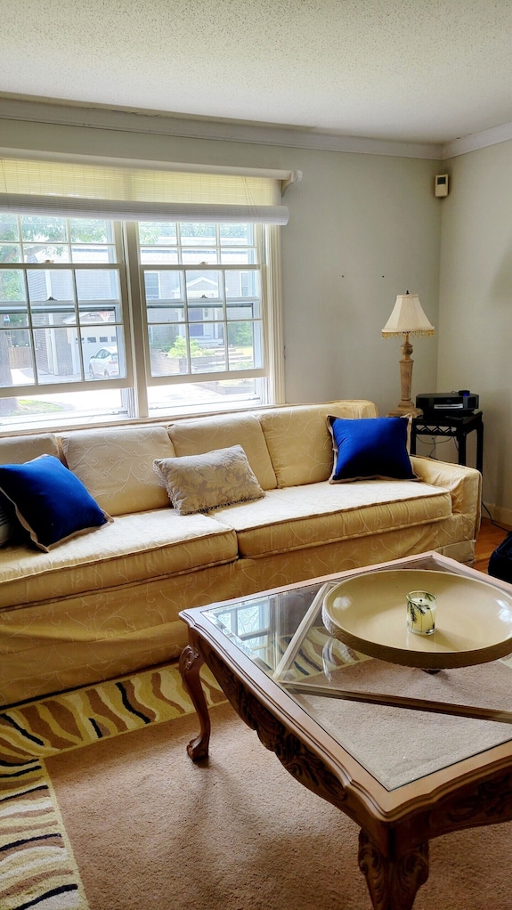 Spacious 4 Br Home, Steps To Lagoon, Minutes To Downtown Oak Bluffs And Beaches! - 瑪莎葡萄園島