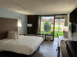 Quarto Básico | Roupa hipoalergénica, cortinas/cortinados opacos, Wi-fi grátis 