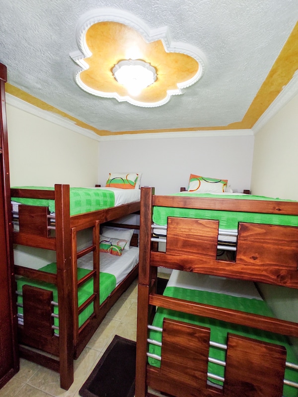 The Clover 2028 - Palmira