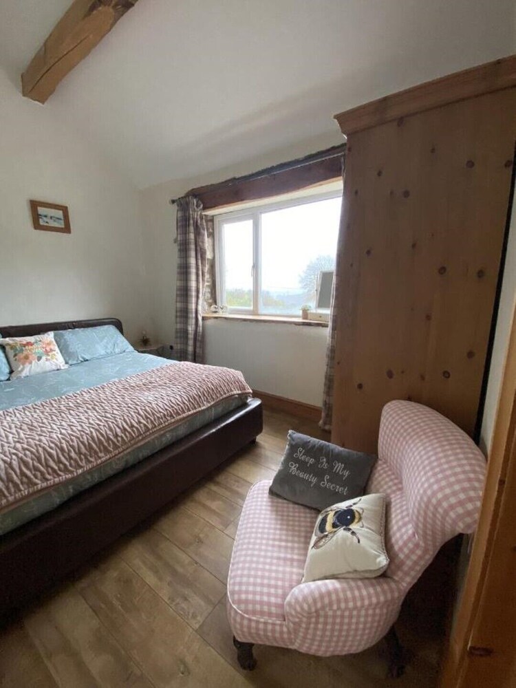 Unique stay on an alpaca therapy farm with miniature donkeys - dog ...