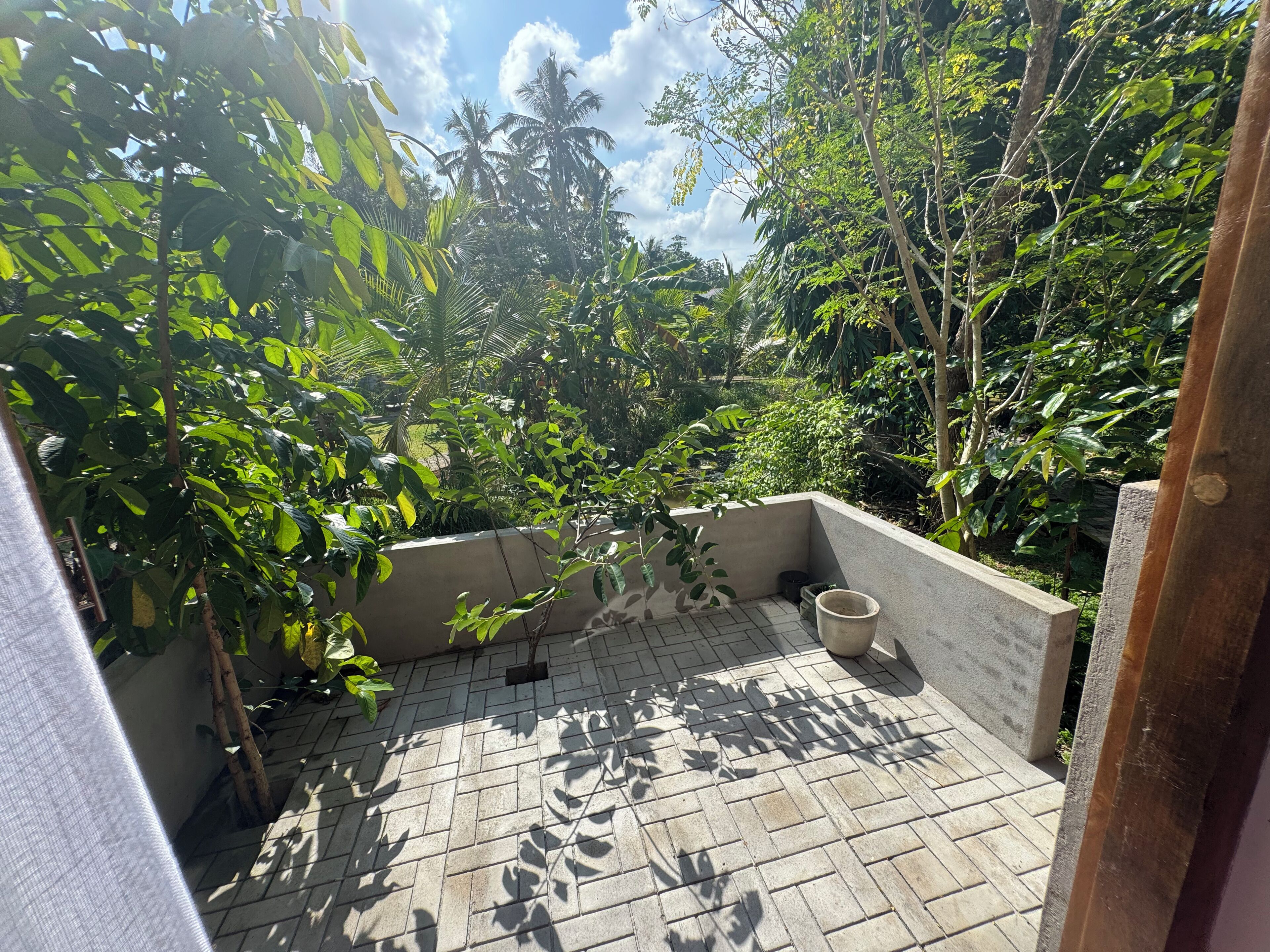 Uma área de pátio com piso de azulejos, rodeada por vegetação densa e árvores.