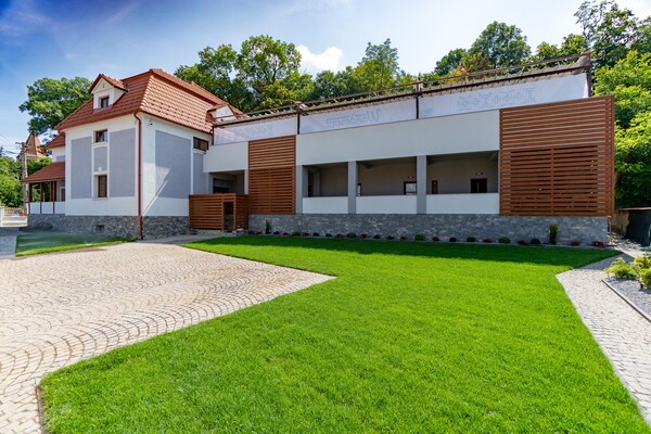 Wanderer - Sighișoara