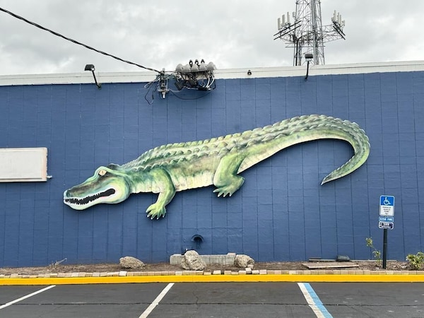 Midtown Lodge - Jacksonville, FL