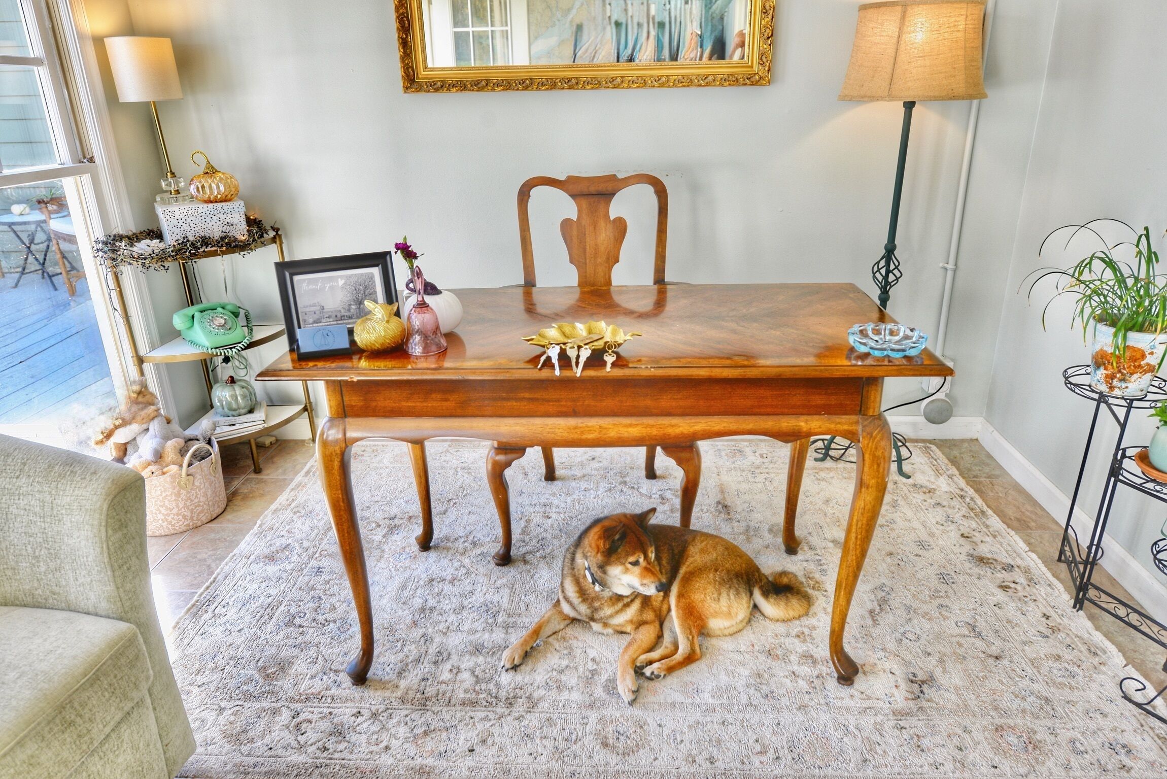 Uma mesa de jantar com um cão deitado por baixo, cercada por diversos objetos decorativos e móveis.
