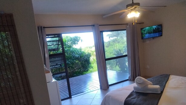 Quarto de hotel com cama, ventilador de teto, televisão e varanda com vista para o verde.