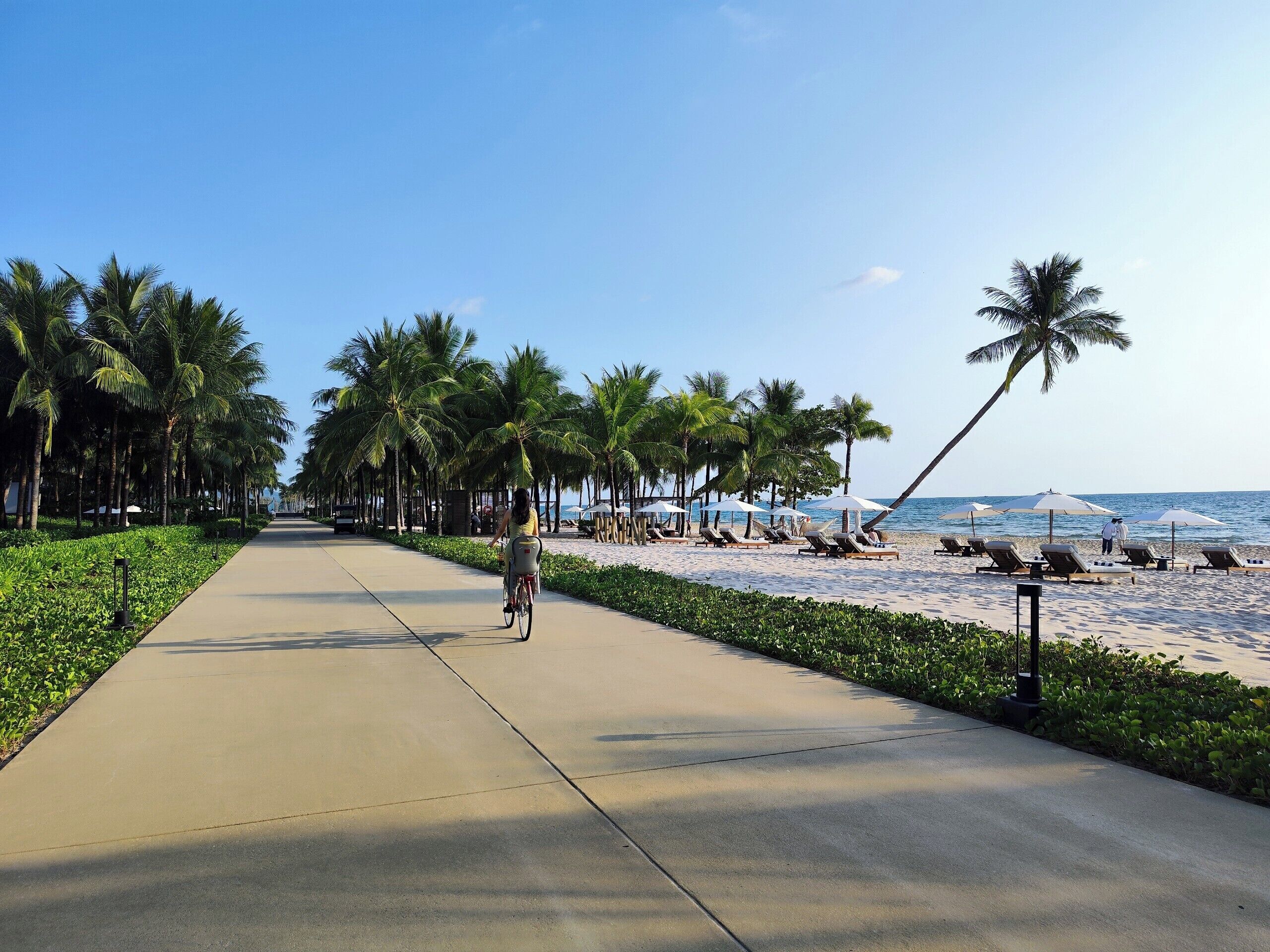 Uma passarela pavimentada bordeada por palmeiras, que conduz a uma praia com espreguiçadeiras e guarda-sóis.