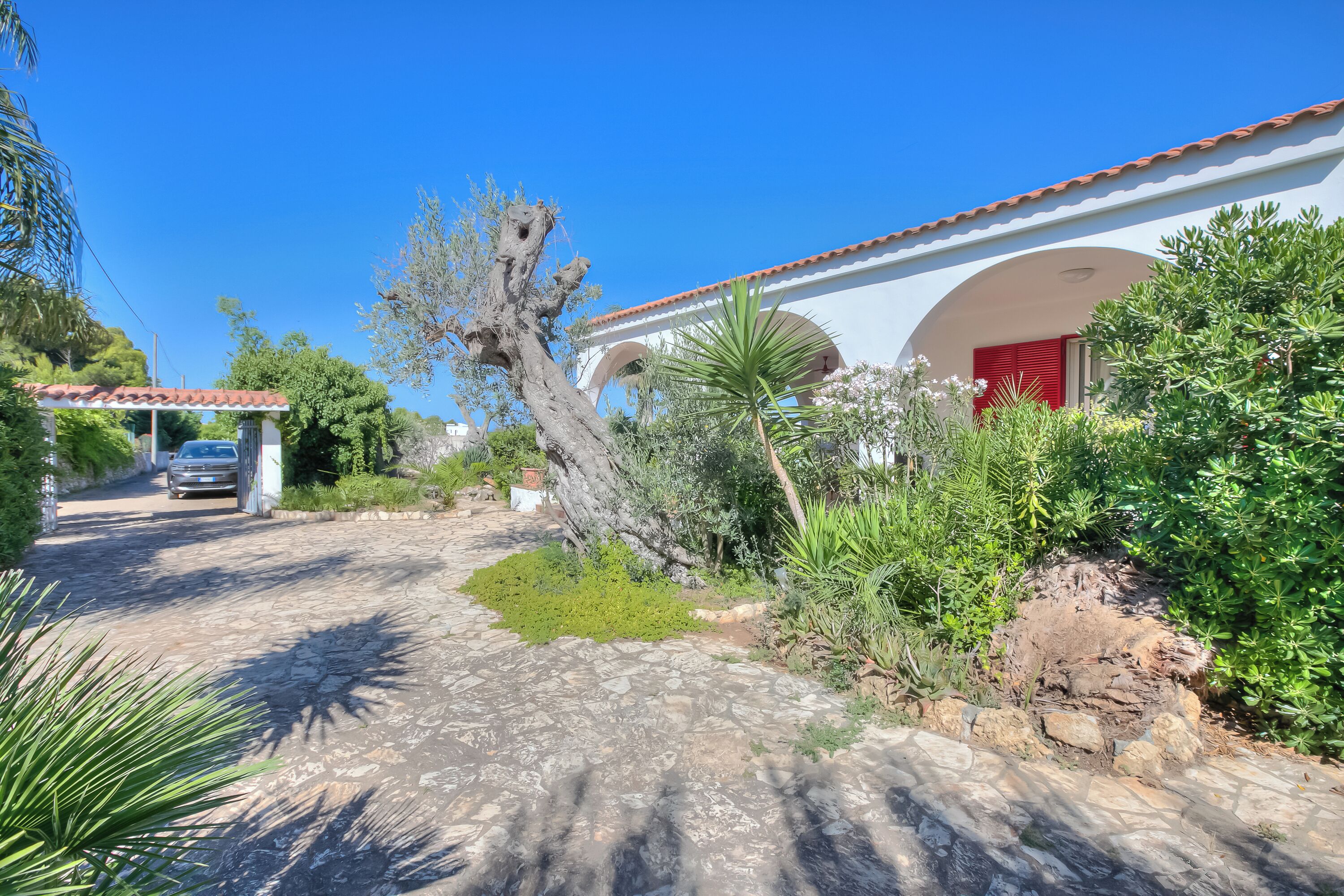 Terrenos do alojamento