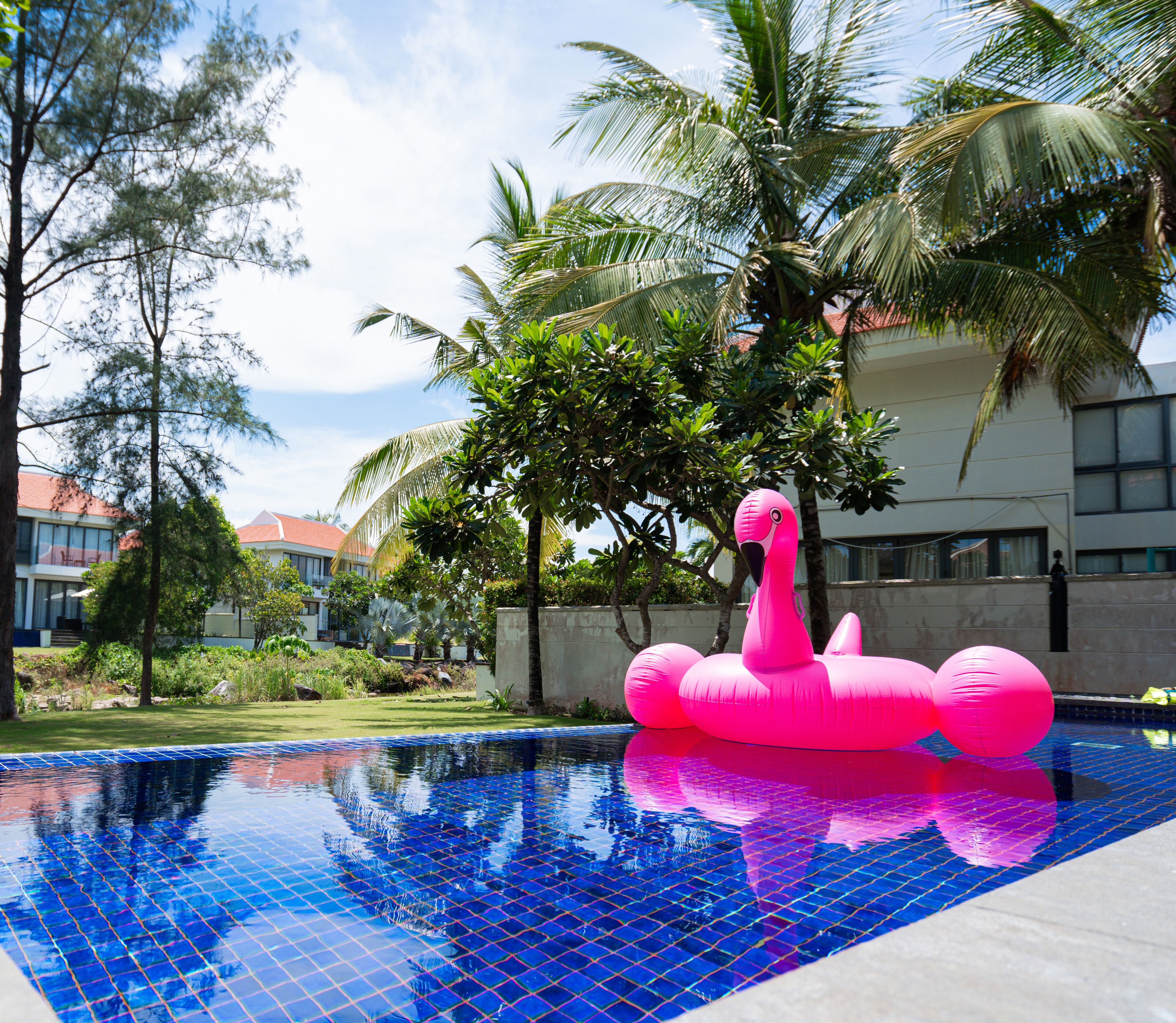 Piscina com um flutuador de flamingo rosa e palmeiras ao fundo.