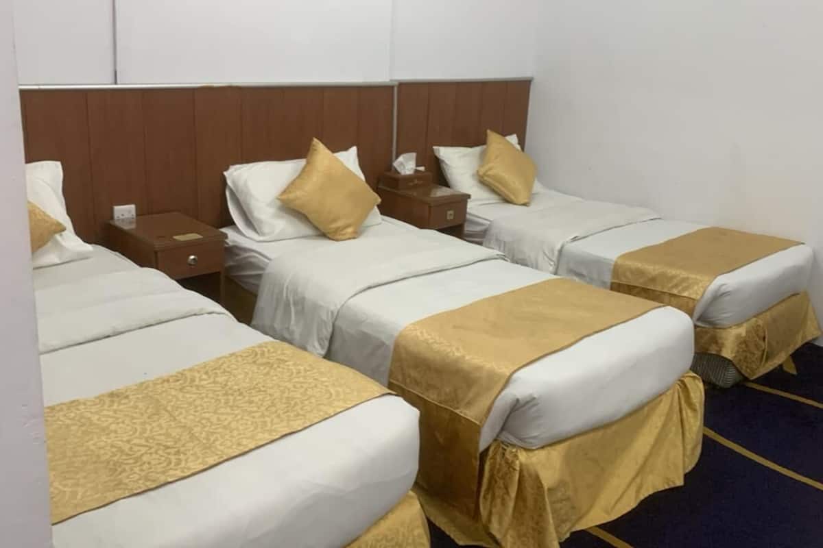 Roupas de cama de algodão egípcio, roupas de cama premium