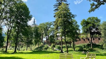 Jardim
