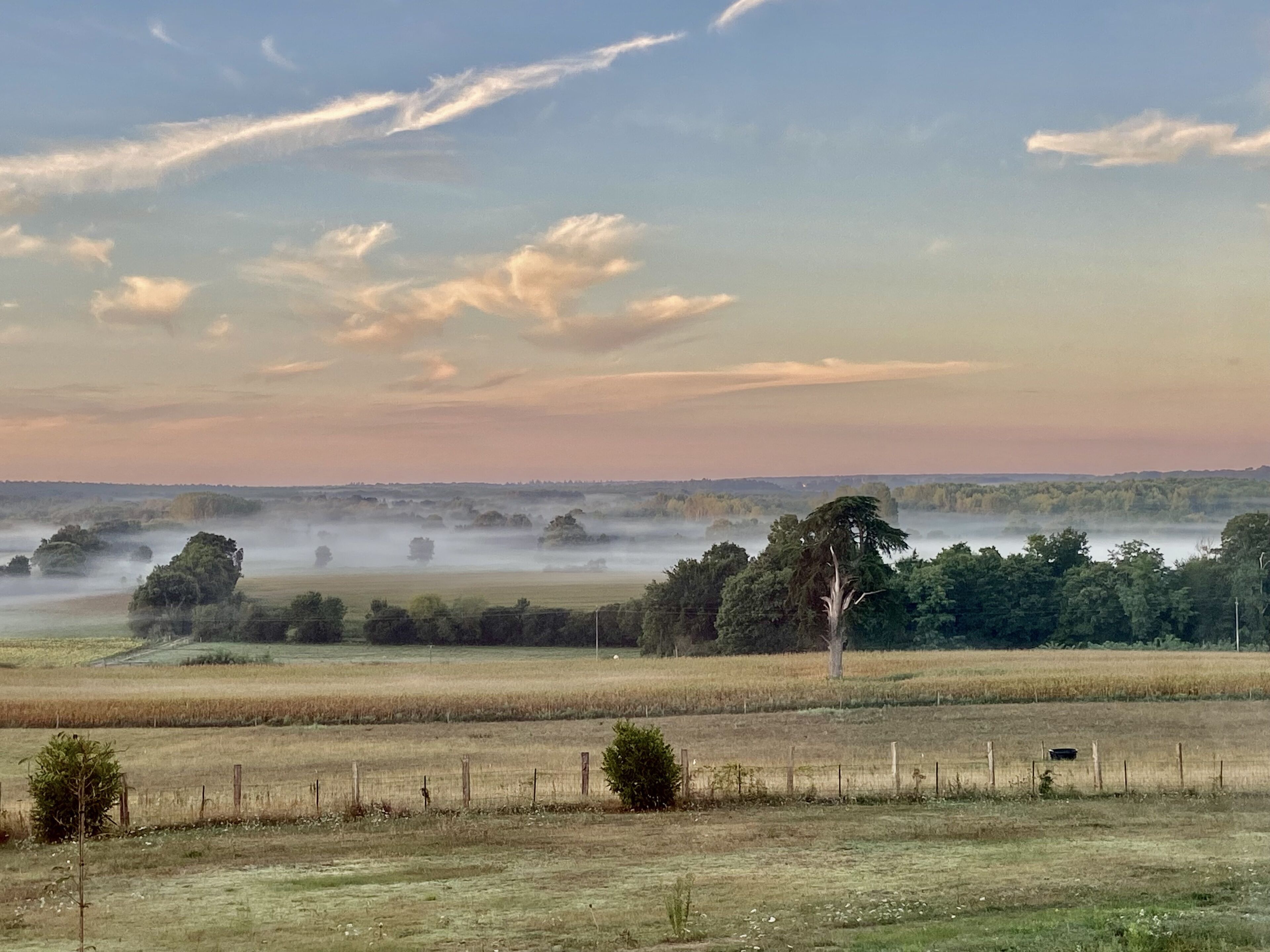 Suite Deluxe | Terraço/pátio interior