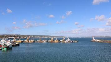 Casa de Campo | Marina