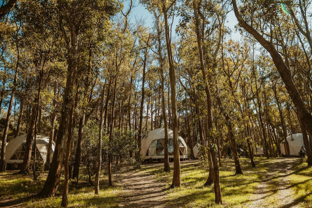 Big Bang Nature Stays - Sauce de Portezuelo