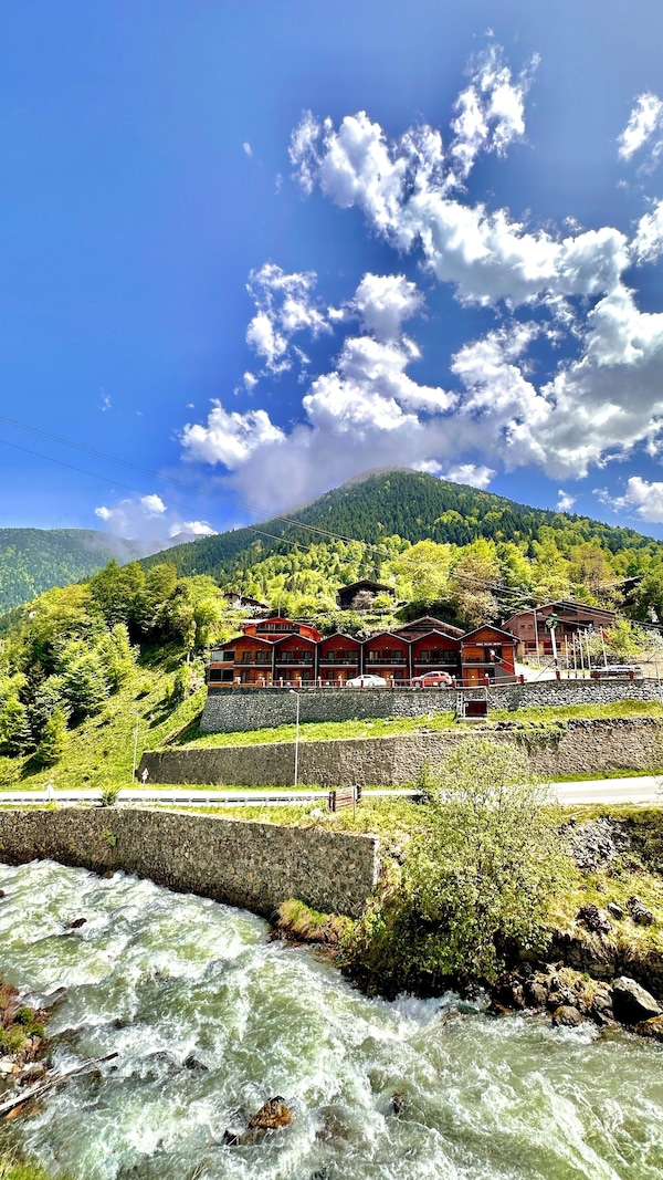 Green Cinar Apart - Rize