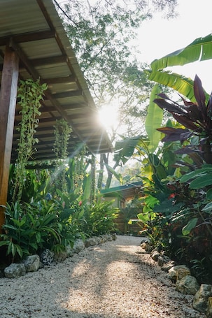 Exterior. Dream Surf House Santa Teresa