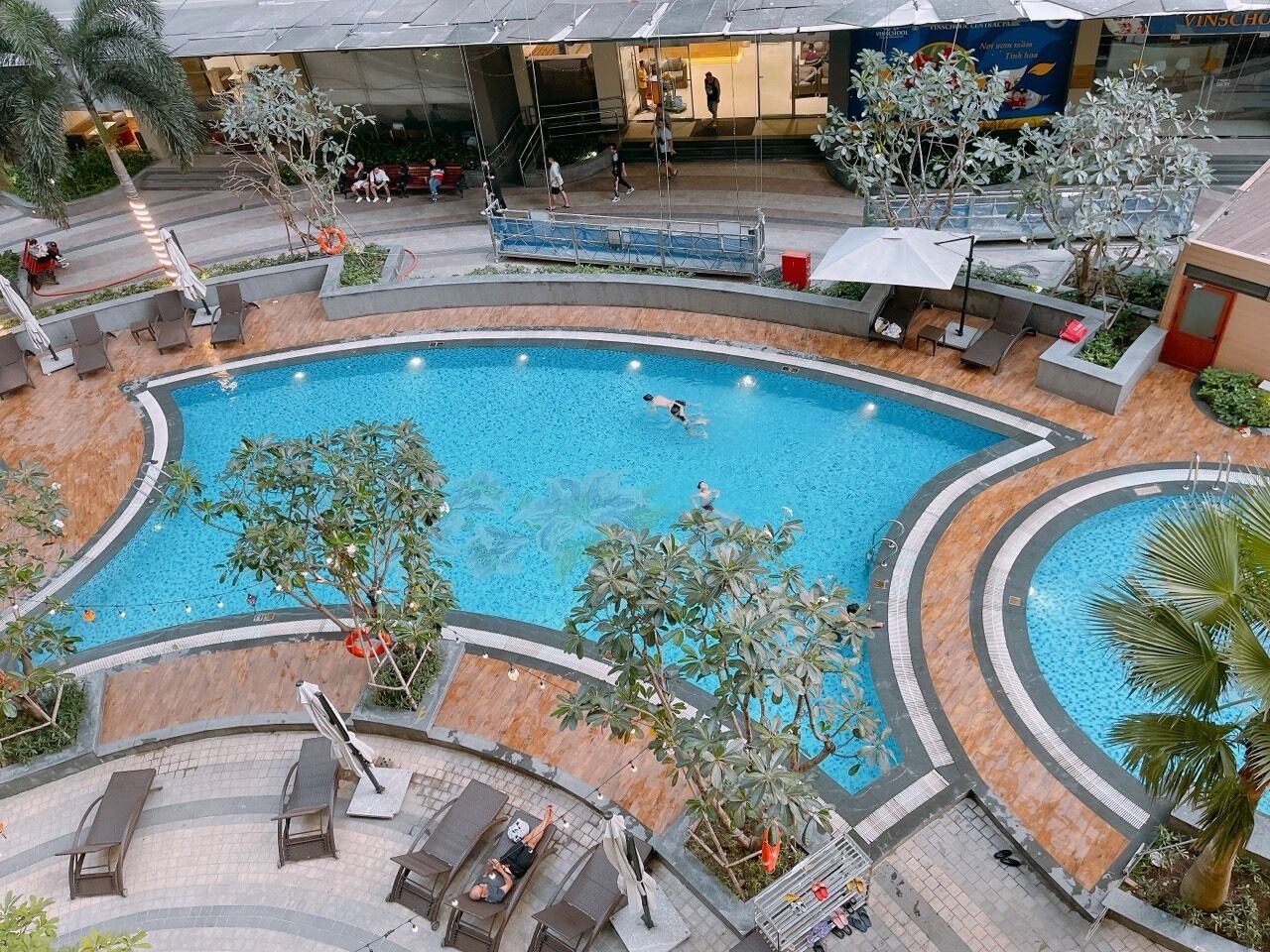 Uma grande piscina interior com design curvo, rodeada por áreas de descanso e palmeiras.