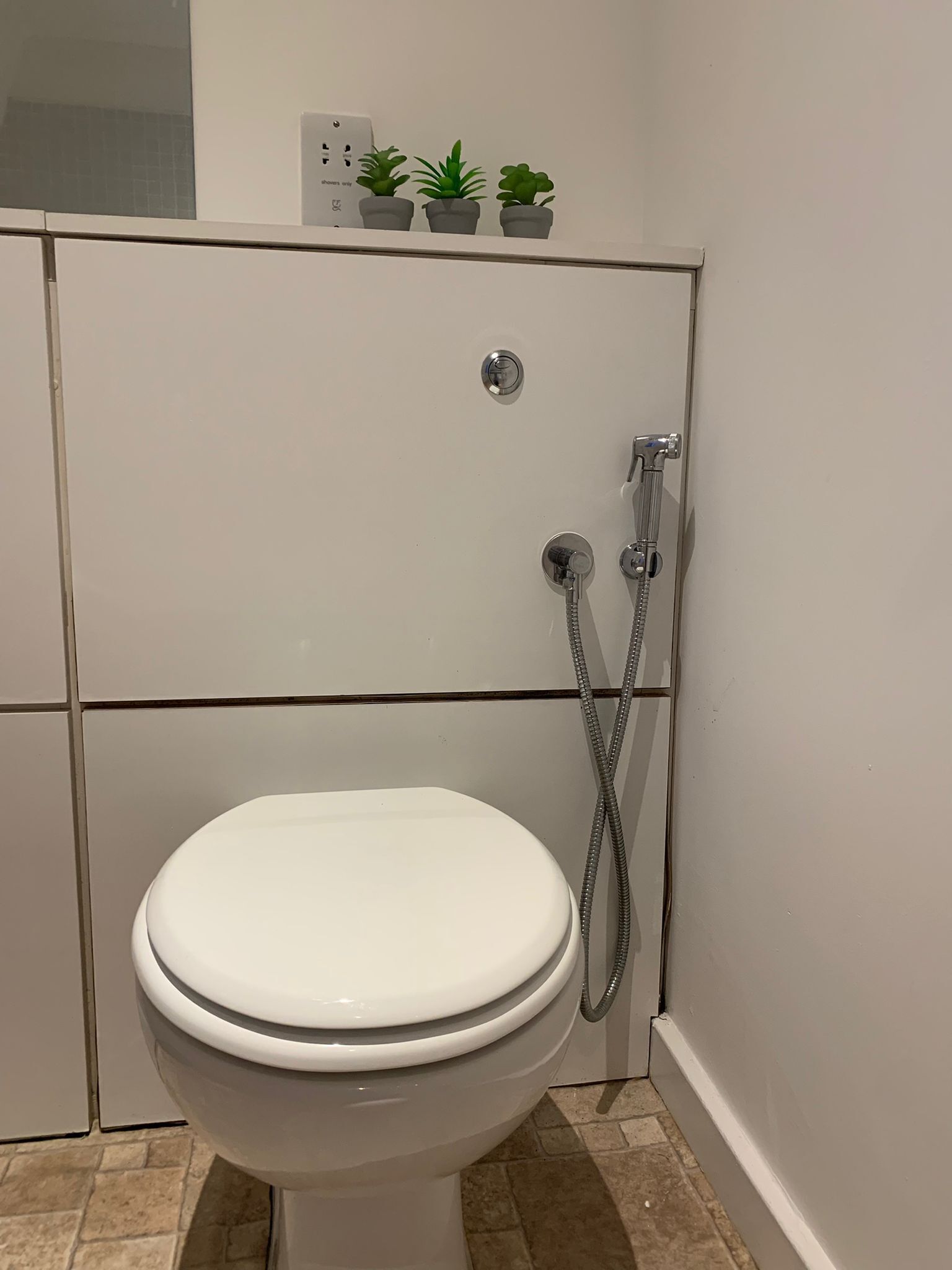 Casa de banho com sanita branca, chuveiro e pequena estante com três plantas em vasos.