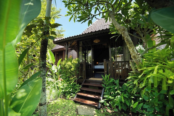 Quarto Comfort, 1 quarto, acesso à piscina, vista para o jardim (Traditional Queen) | Vista para o jardim