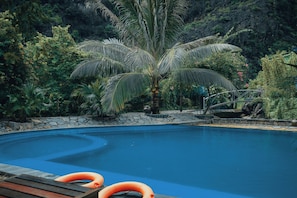 Piscina cercada por vegetação exuberante e um muro de pedra.