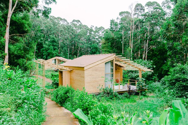 Cabanas Da Viscondessa - São Jorge