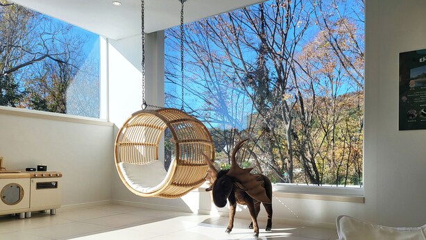 Um interior moderno com uma janela ampla, uma cadeira suspensa e um eletrodoméstico de estilo vintage.
