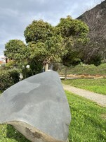 Apartamento | 5 quartos 