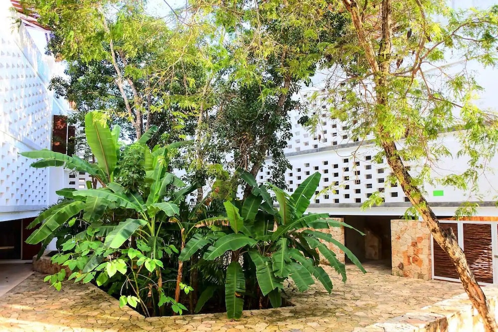 Casa De Piedra Tulum - Tulum