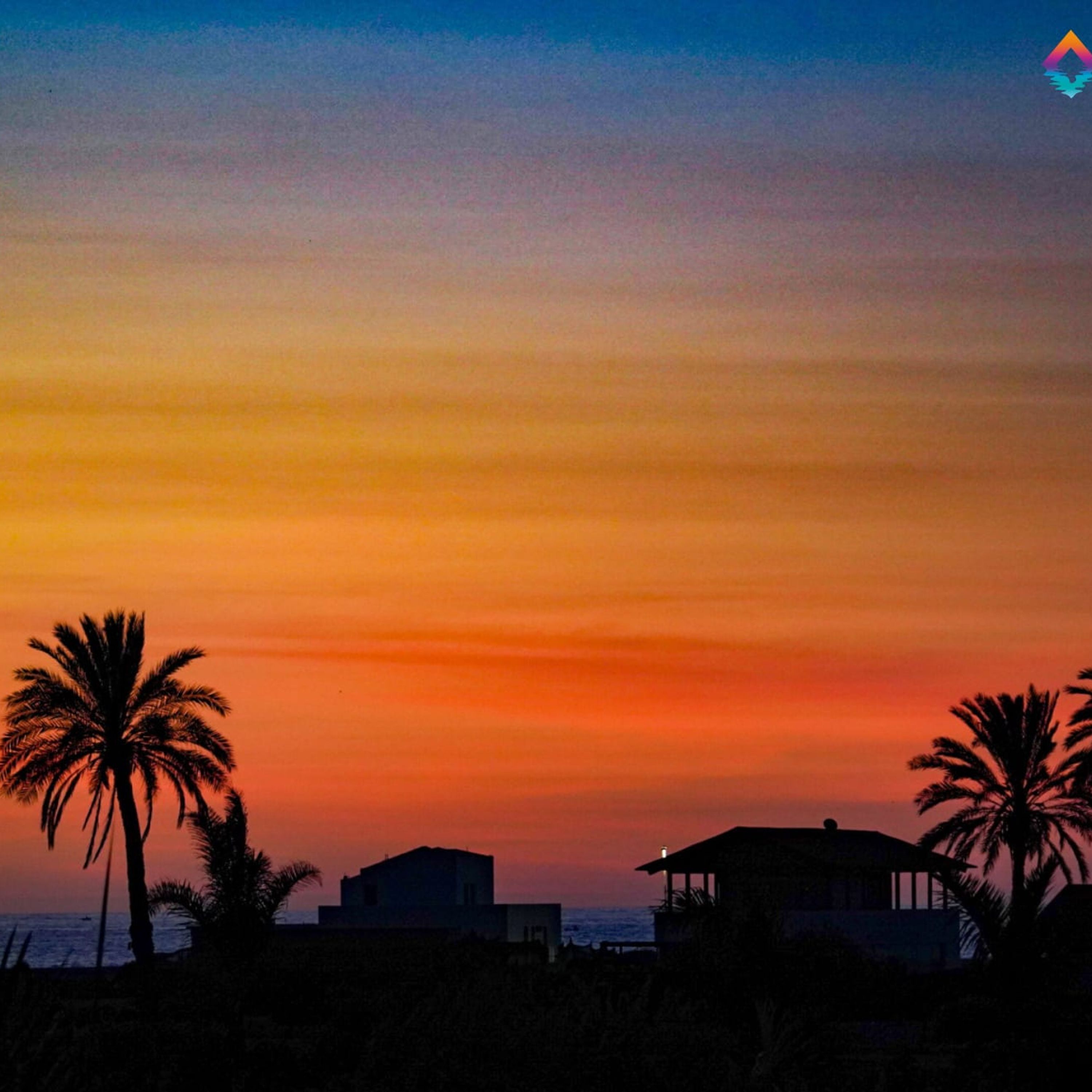 Vista do pôr do sol com palmeiras e edifícios em silhueta contra o céu.