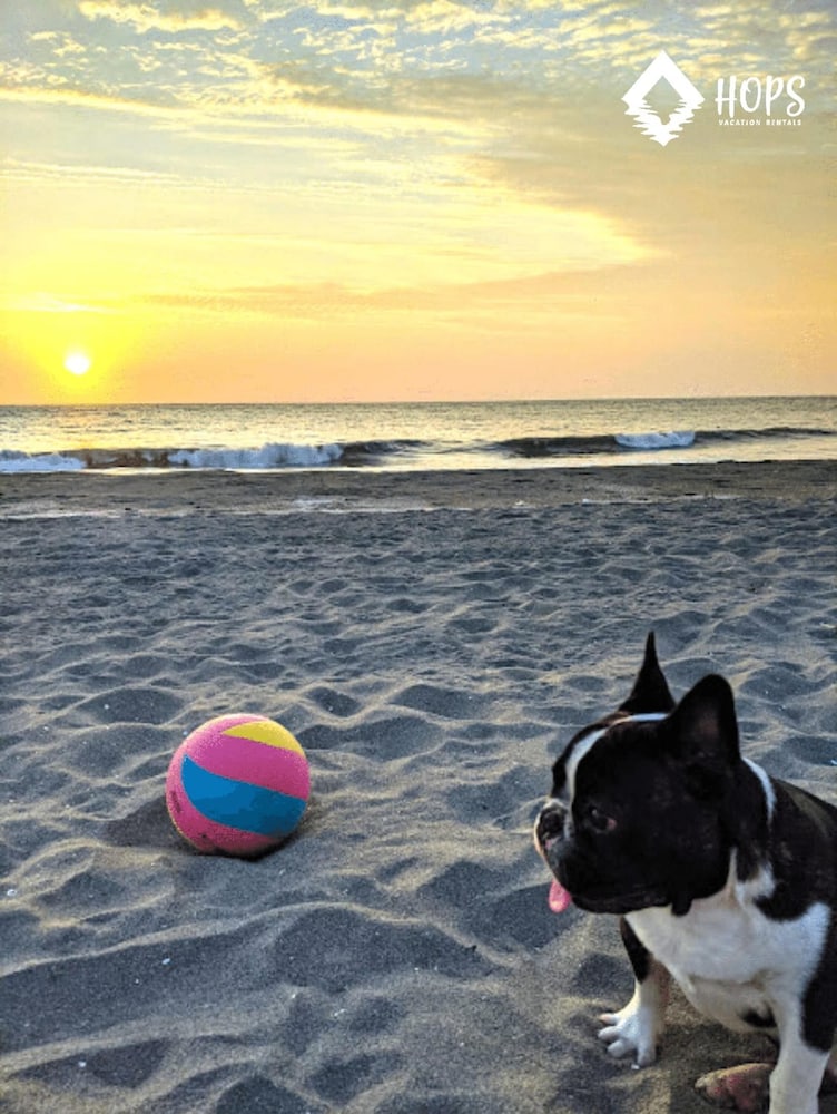 Hop Odaiba Exclusiva Laguna Y Playa En Chincha - San Clemente