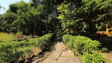 Jardim
