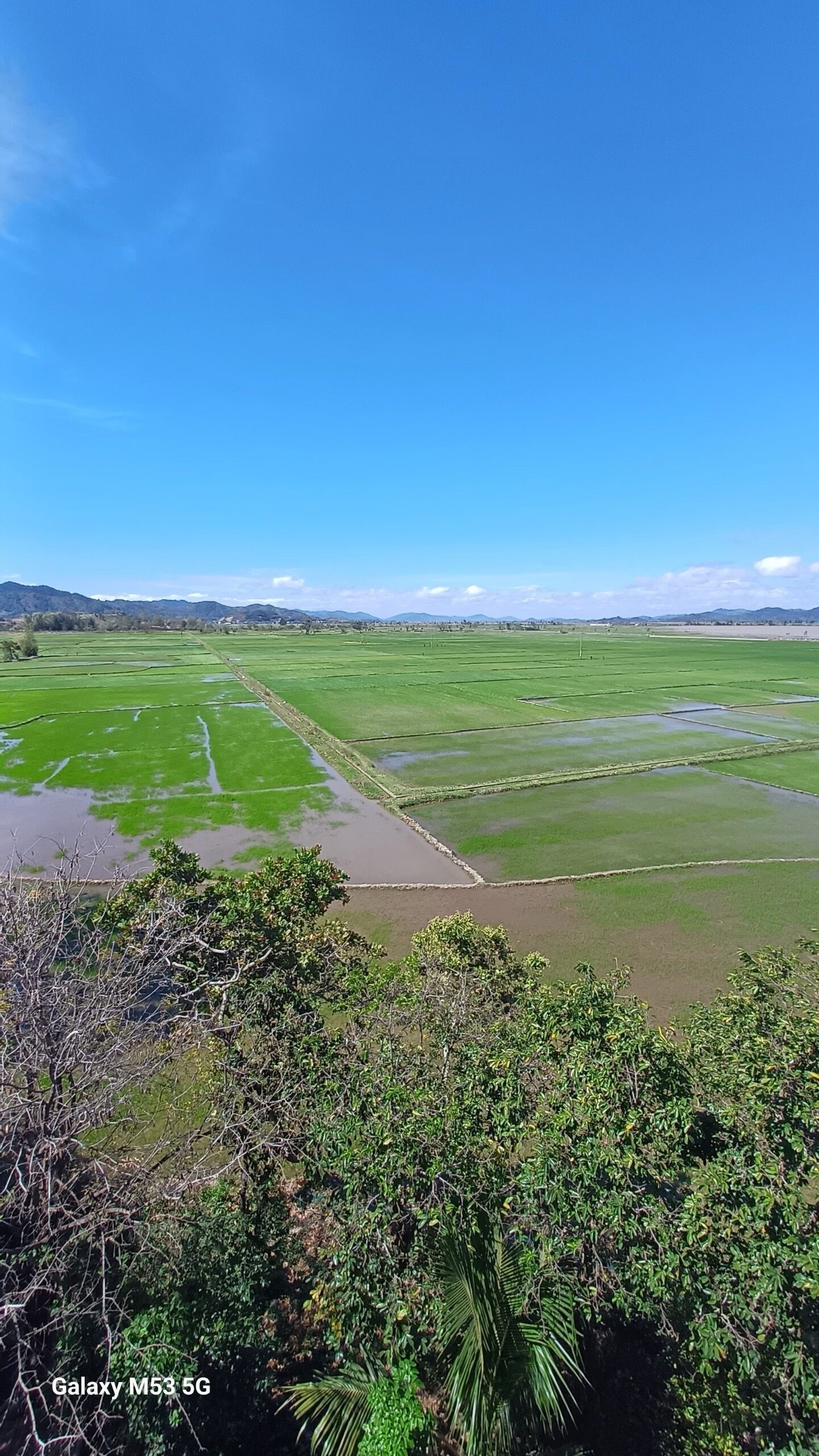 Paisagem com campos em socalcos e montanhas ao longe, sob um céu limpo.