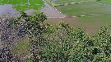 Paisagem com campos em socalcos e montanhas ao longe, sob um céu limpo.