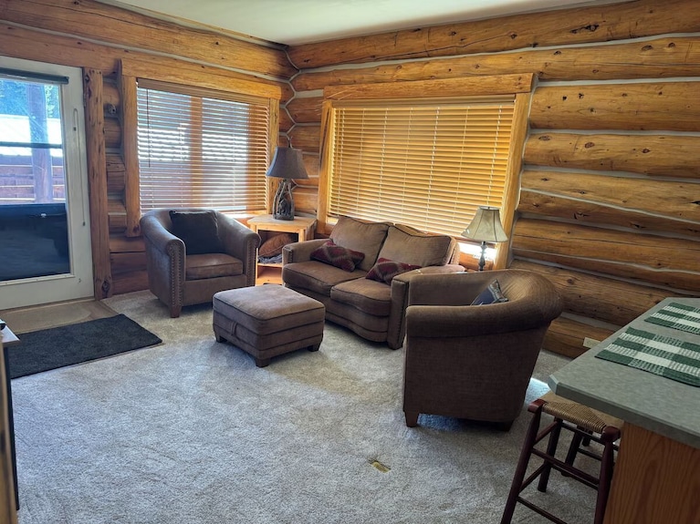 Great 1 Bedroom Apartment In Cooke City - Yellowstone National Park