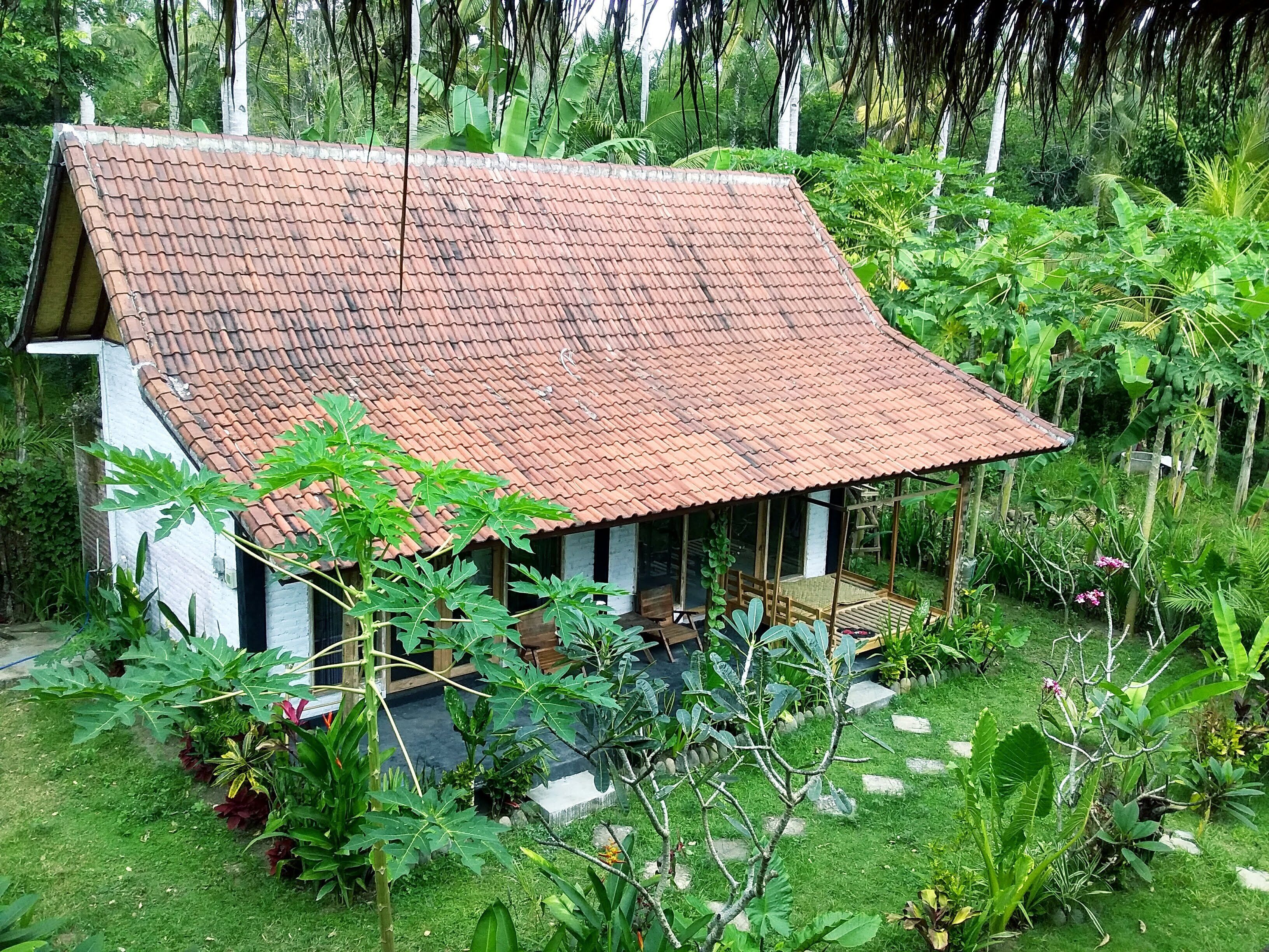 Uma casa pequena com telhado de telhas rodeada por vegetação exuberante.