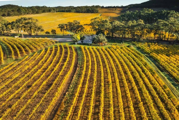 Skillogalee Estate - South Australia