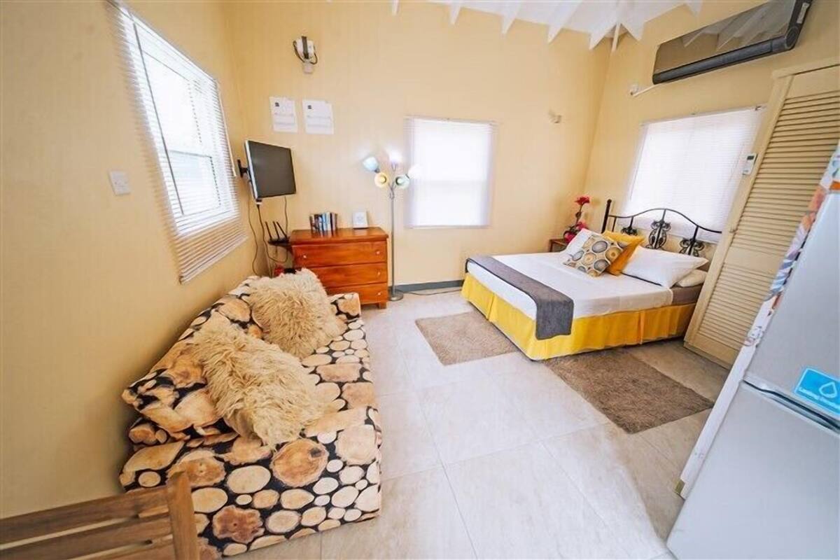 Quarto com cama, sofá, cômoda, televisão e janela.