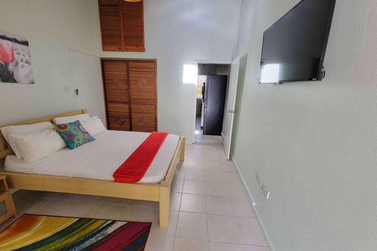 Um quarto com uma cama, um tapete colorido, uma televisão e um guarda-roupa.