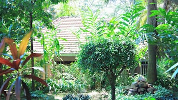 Área da propriedade