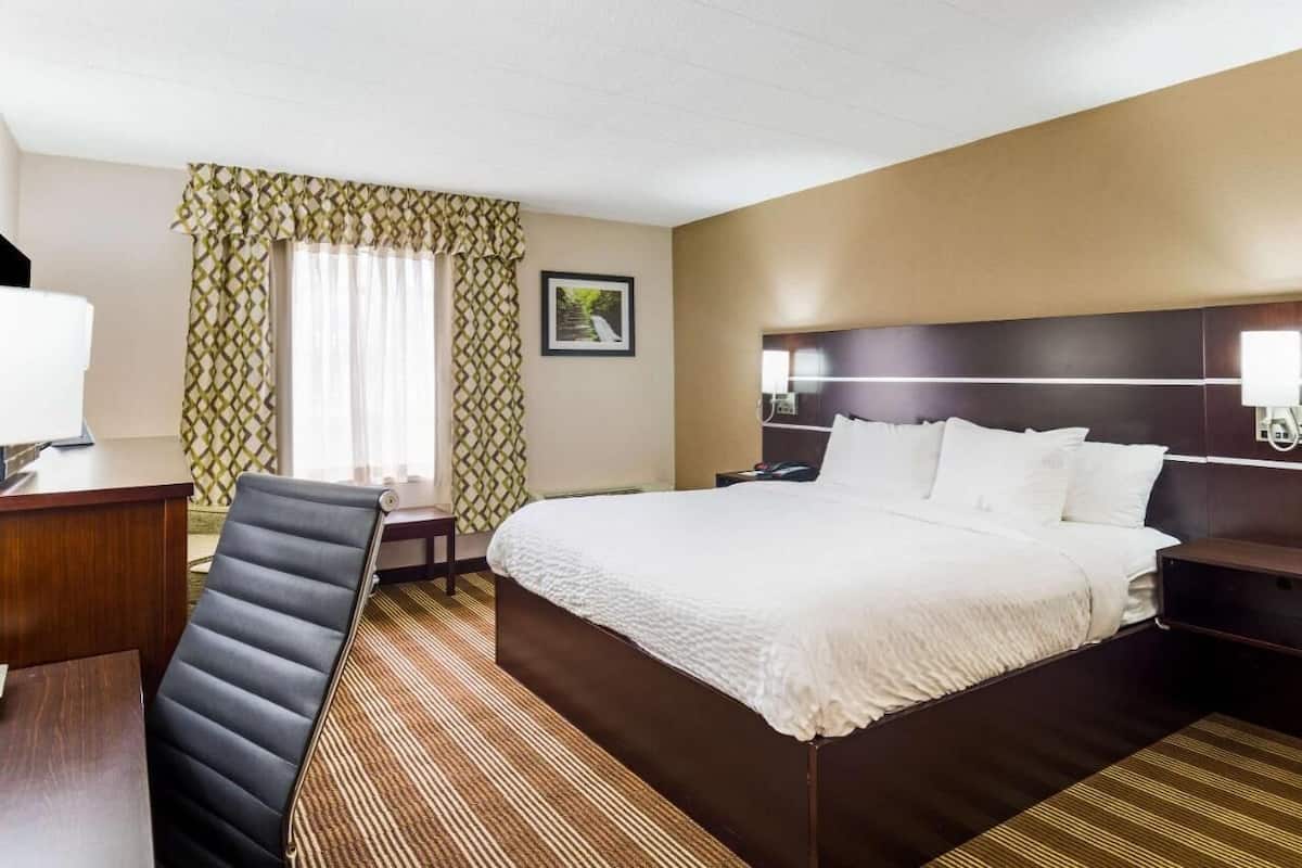 Quarto de hotel com uma cama grande, uma escrivaninha, uma cadeira e uma janela com cortinas estampadas.