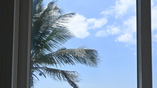 Vista de uma praia com palmeiras e céu claro.